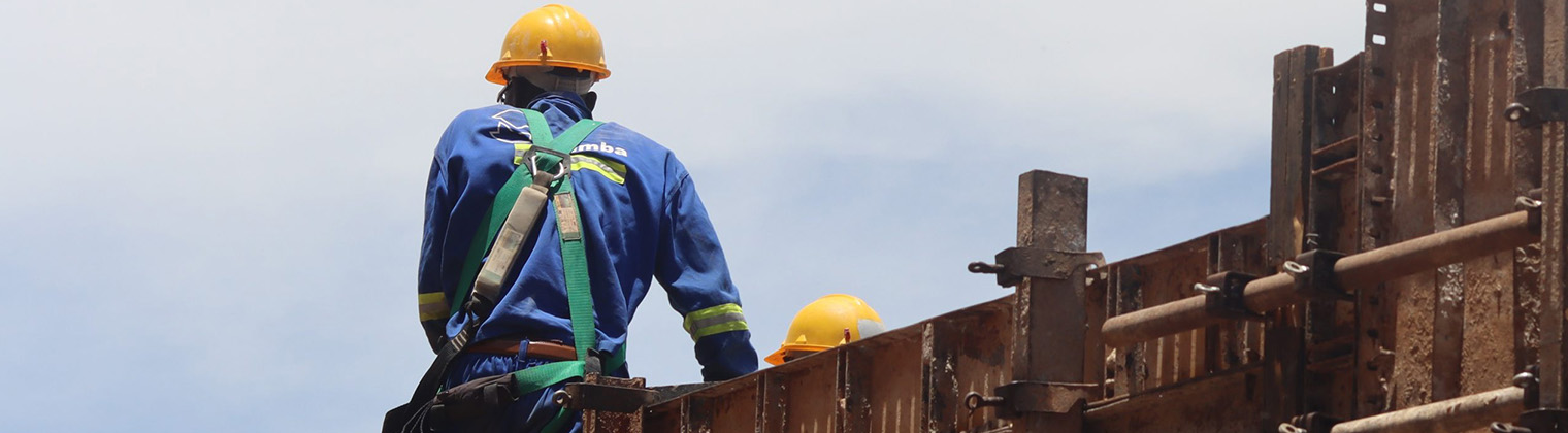 About Us - Masimba Holdings